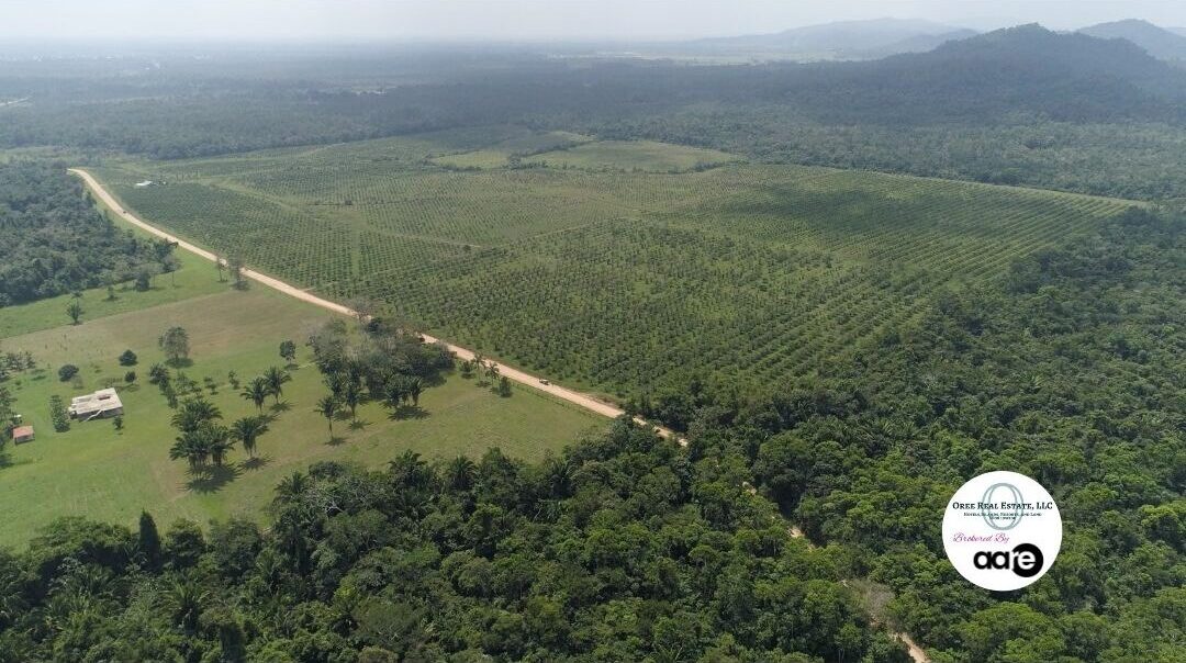 Long Coco Caye (Private Island) Offered At $100,000,000 USD